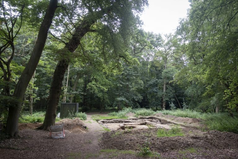 Roman Temple Discovered in High Wood - Henley Archaeological ...